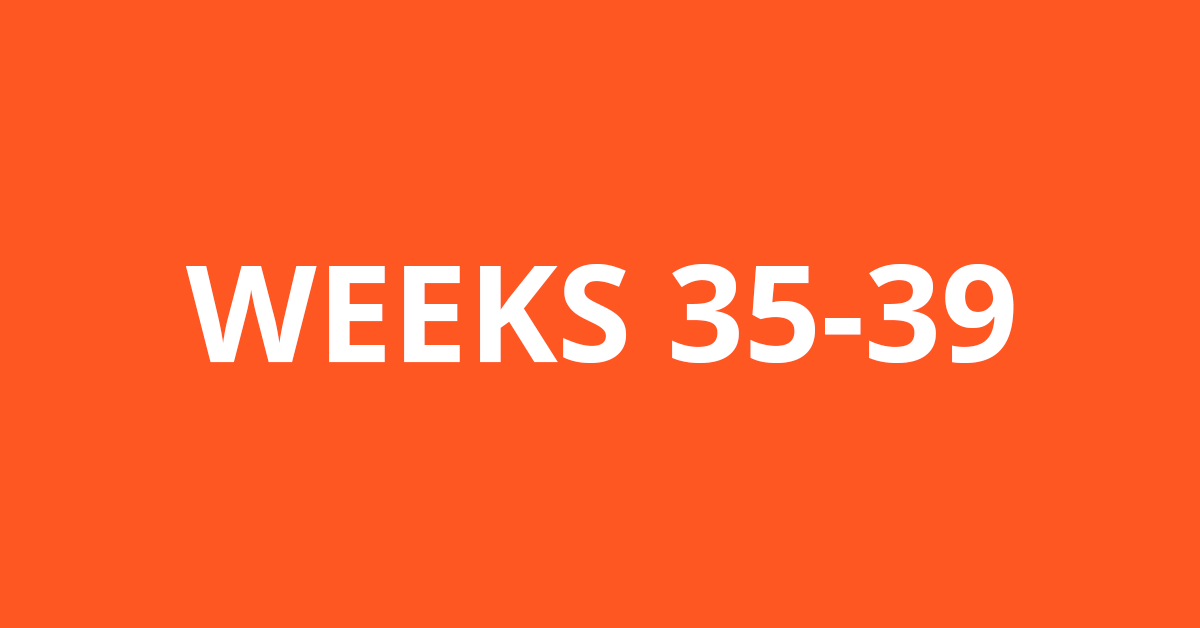 Weeks 35-39: A $526 Day and a Breakthrough